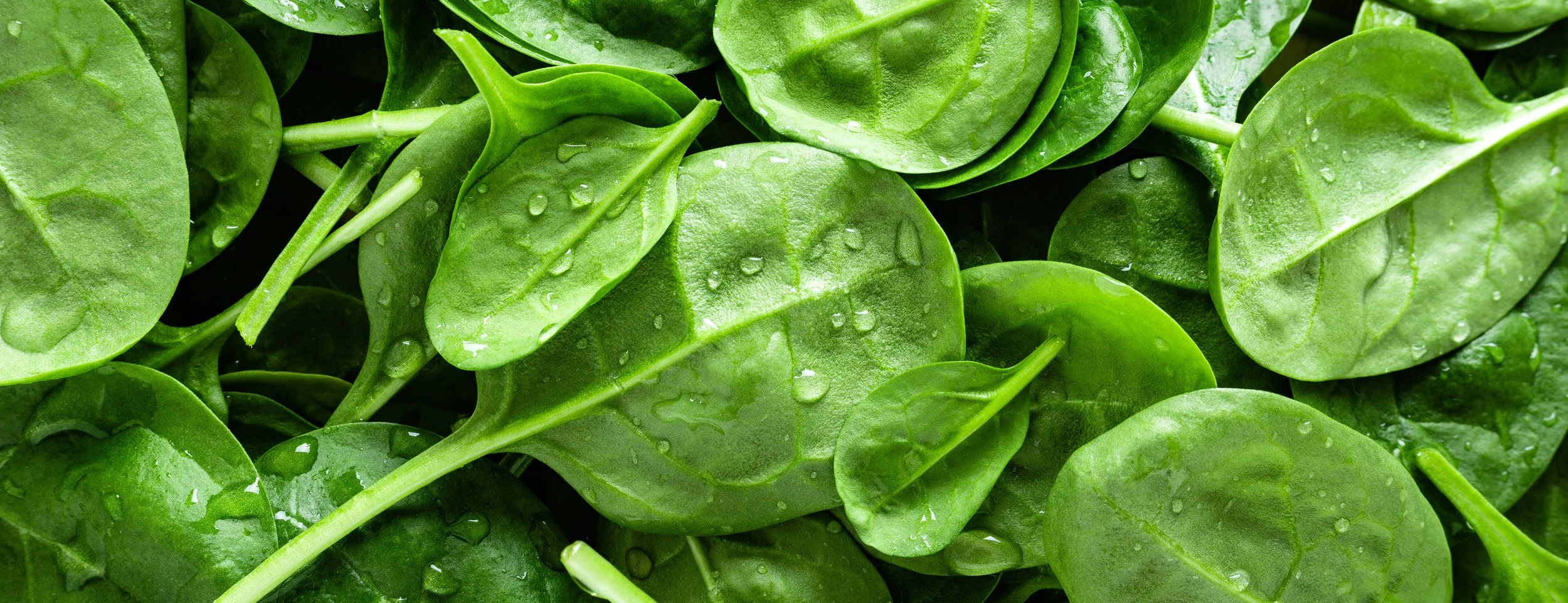 Heavy Metals in Spinach FAQs — As You Sow