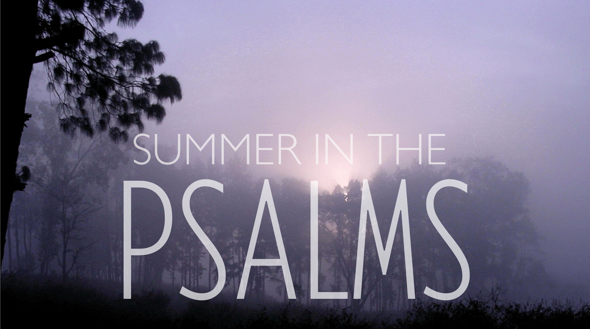 Summer in the Psalms 2025 — Faith Baptist Church