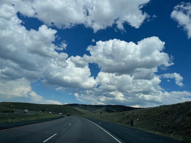 BCC highlights Montana State University — Balanced College Consulting