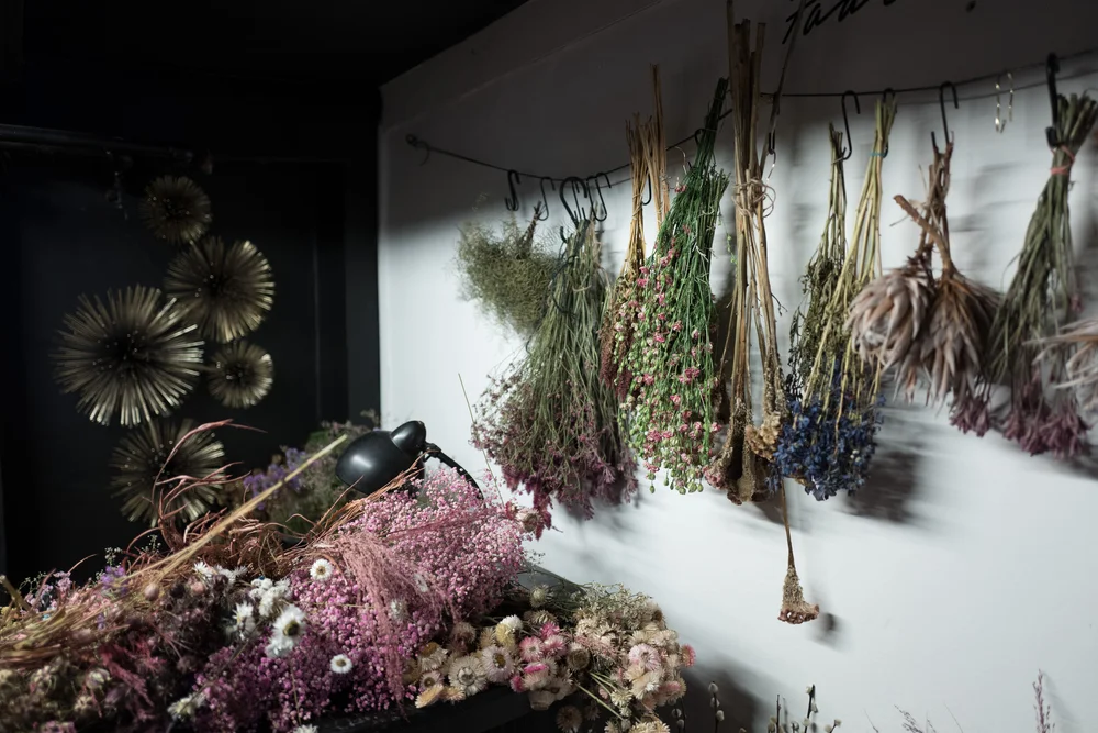 How to Grow and Style Your Own Dried Flowers — Paper Thin Moon ...