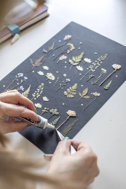 How to Press Flowers: A Guide for Beginners — Paper Thin Moon | British ...