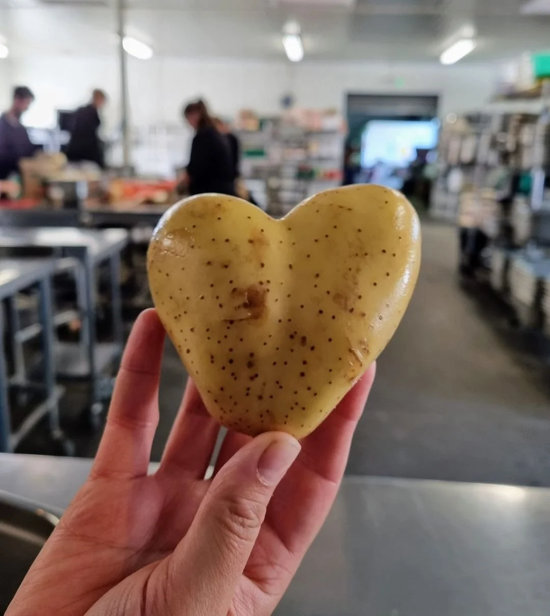 Refugee Community Kitchen