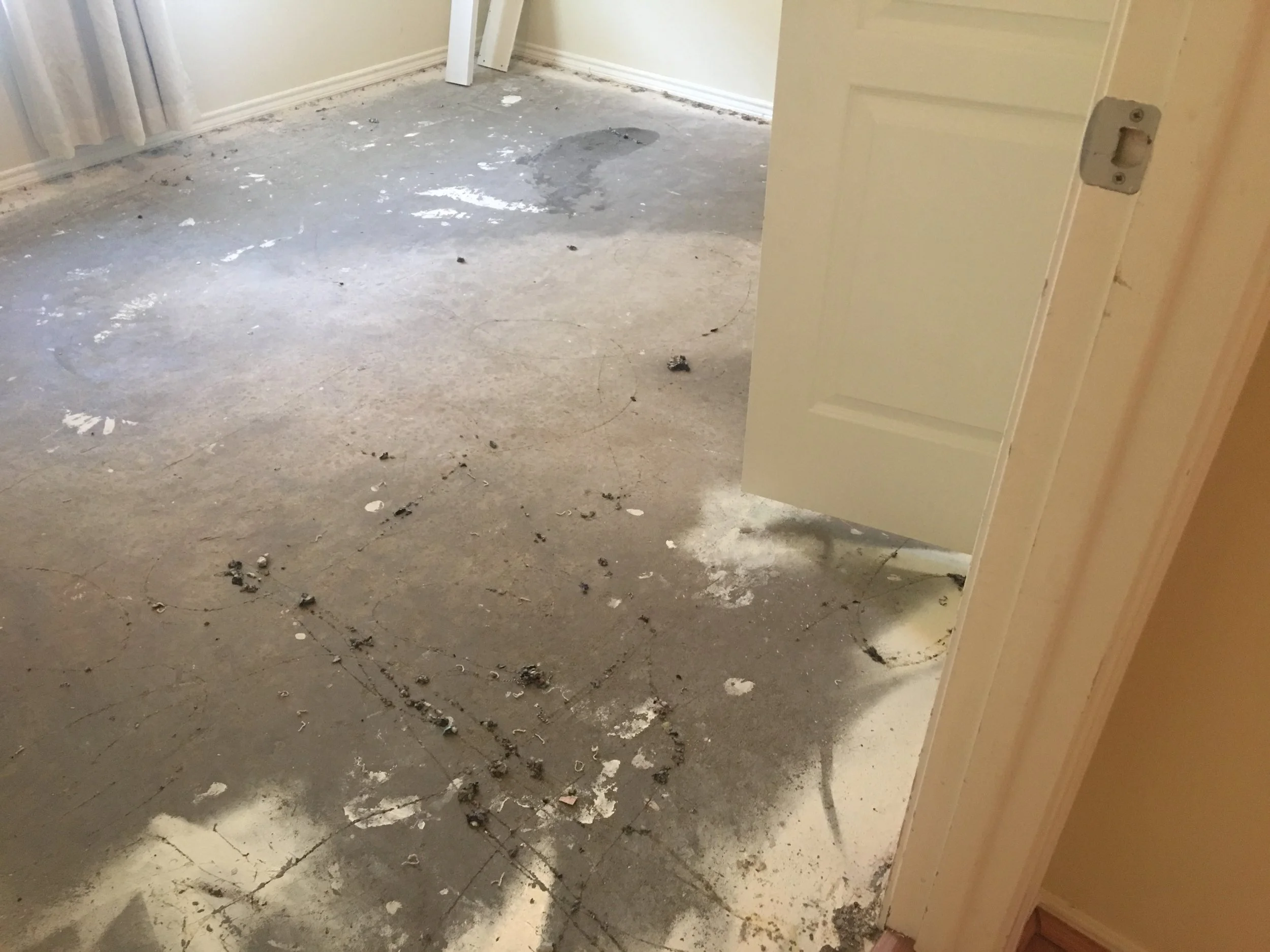 The Bealo Family — #forthebend