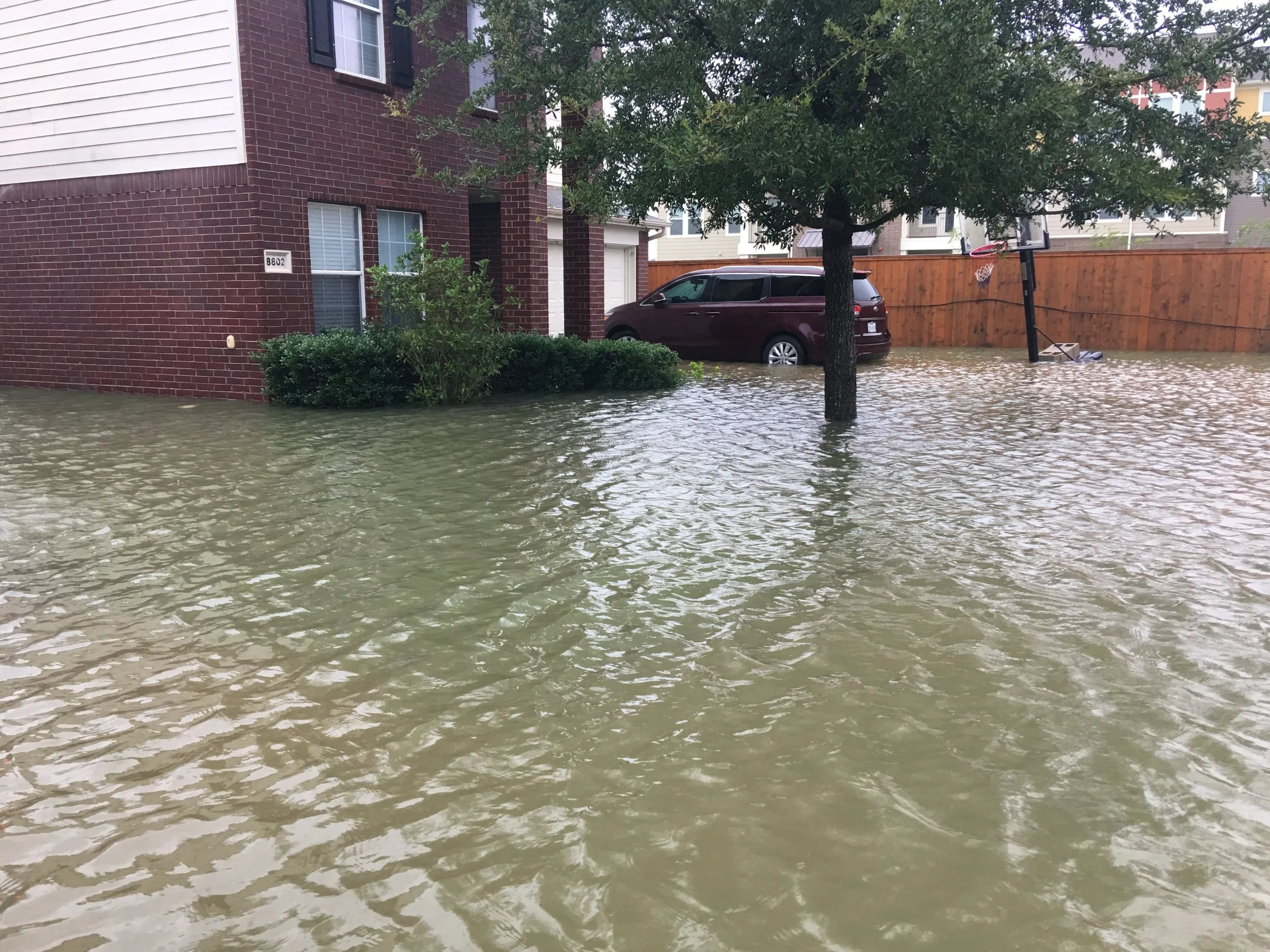 The Bealo Family — #forthebend