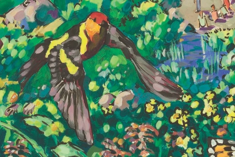 Lessons — Terra BIRDS
