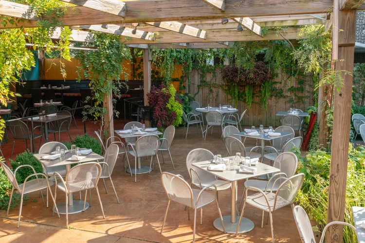 Space Gallery — — Maya Del Sol | Latin Fusion Cuisine & Craft ...