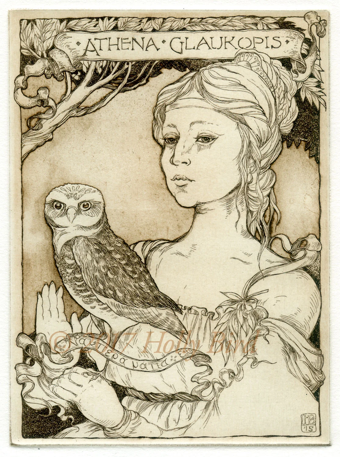 Artwork — Studio Ibis