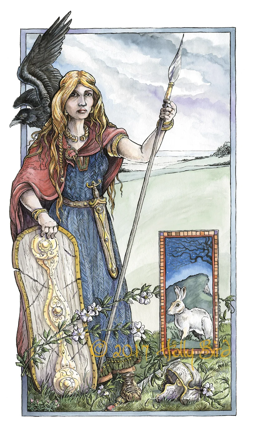 Illustration — Studio Ibis