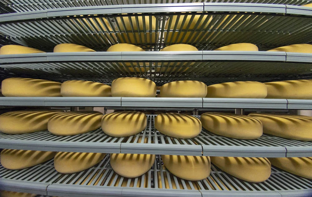 Schoch Family Farmstead Gives Us a Taste of Cheese Making — Monterey ...