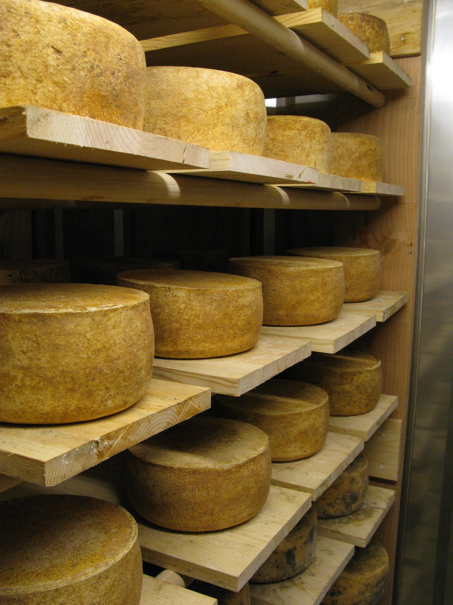 Schoch Family Farmstead Gives Us a Taste of Cheese Making — Monterey ...
