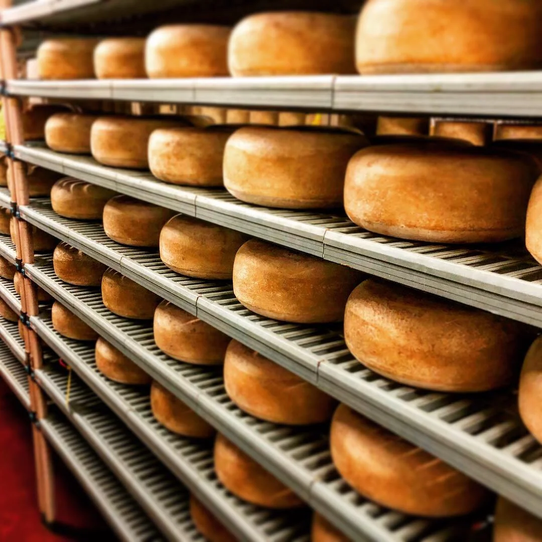 Schoch Family Farmstead Gives Us a Taste of Cheese Making — Monterey ...