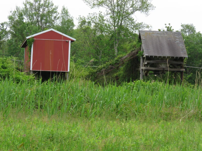 Rea Farm, “The Beanery” — The 21st Century Matriarch