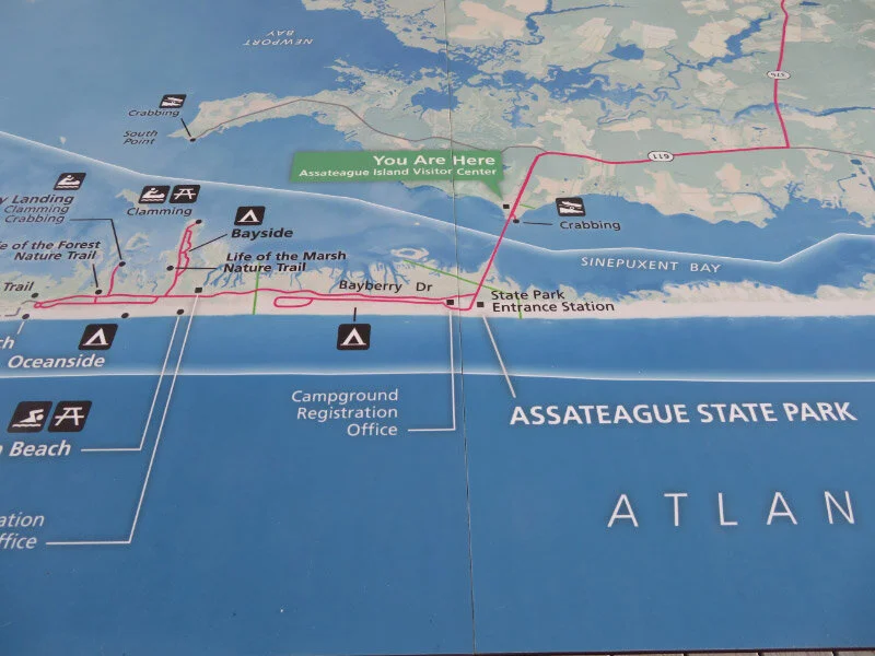 Assateague Island Visitor Center — The 21st Century Matriarch