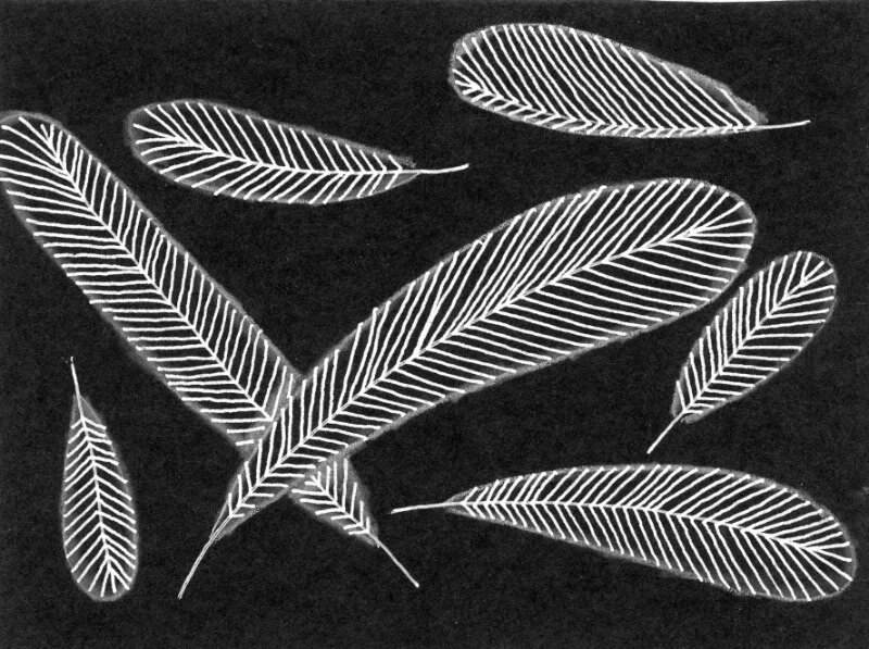 Cape May Spring Festival (2nd day), Last Iris, 3 Tangle Prompt — The ...