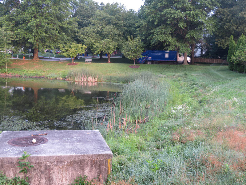 Neighborhood Pond in the Early Morning – Part 2 — The 21st Century ...