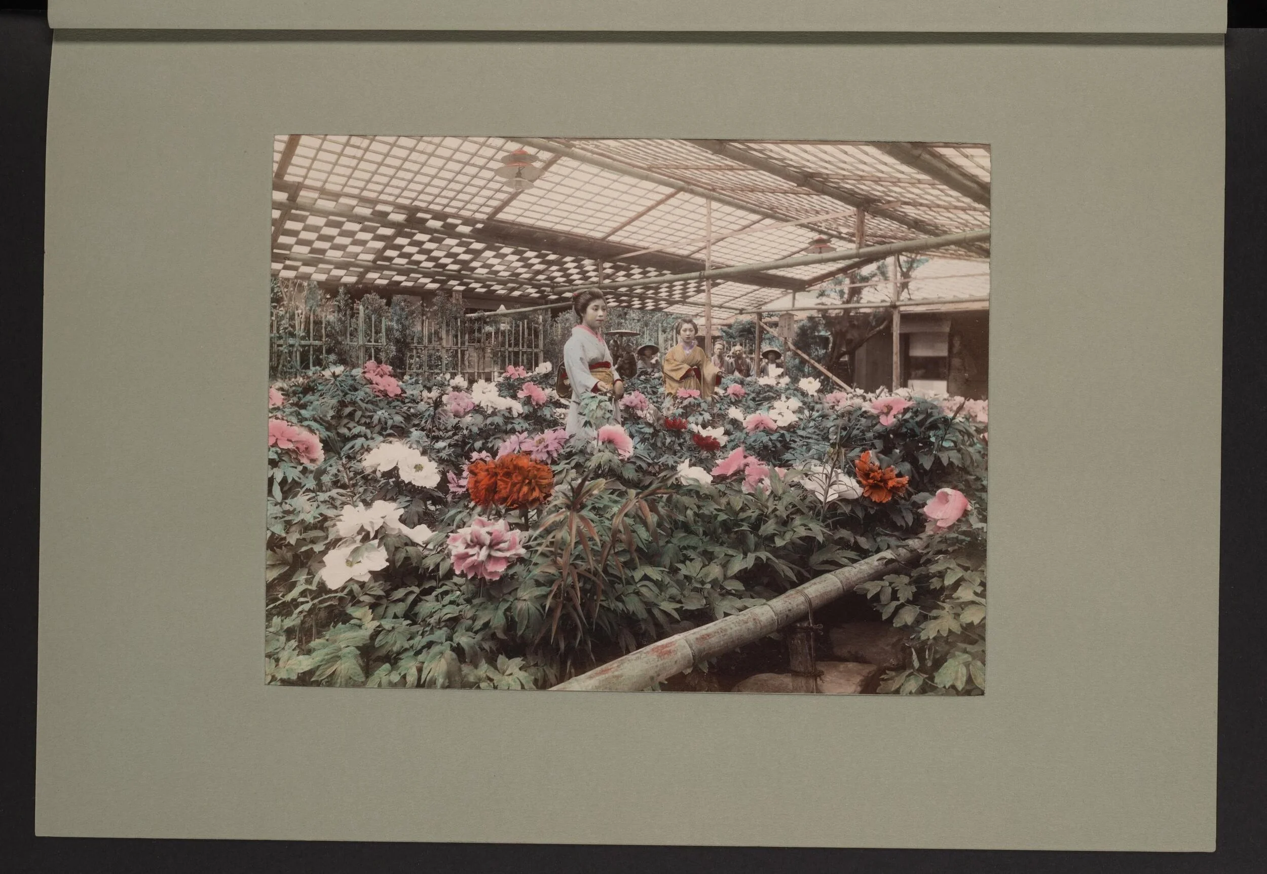 Japanese Art — The 21st Century Matriarch