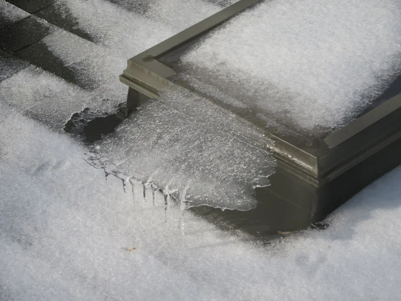 Ice Shelf — The 21st Century Matriarch