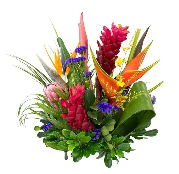 Market Blooms | Fresh Flowers Everyday | In the North Market