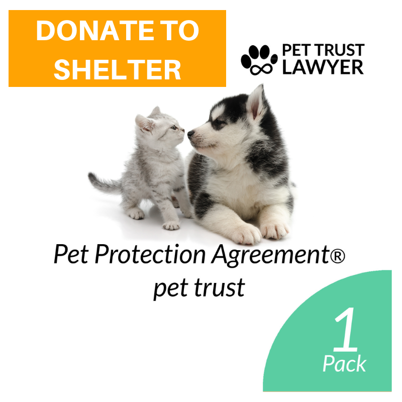 Pet Trust Lawyer