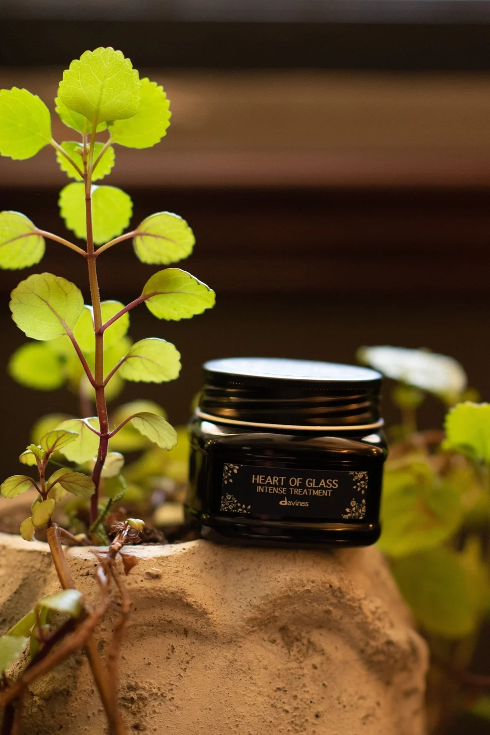 Alchemy Salon | Hair Salon Knoxville TN