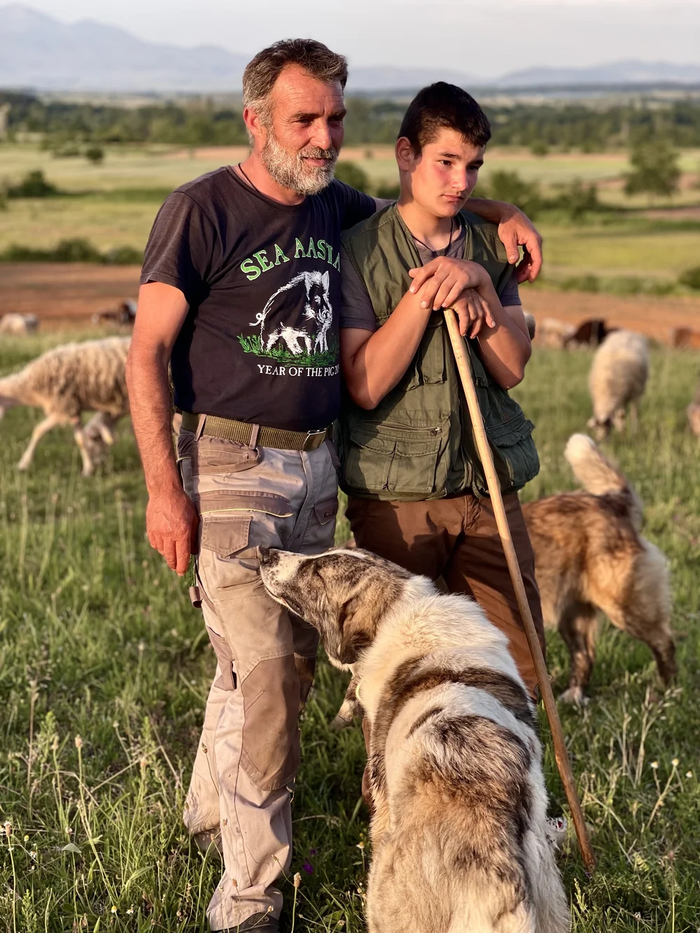 Feta Voras — Essex St. Cheese