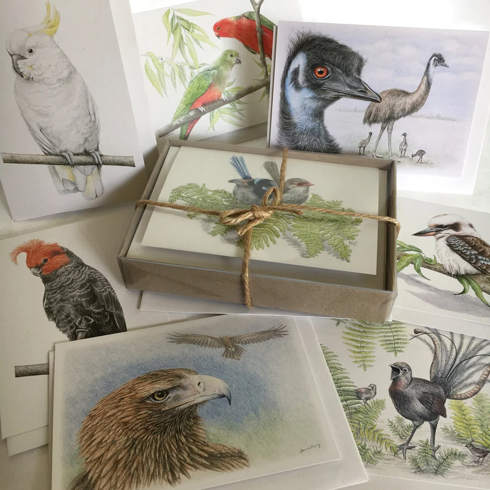 Jo's Desktop - Australian wildlife Art originals + Gifts — Jo's Desktop