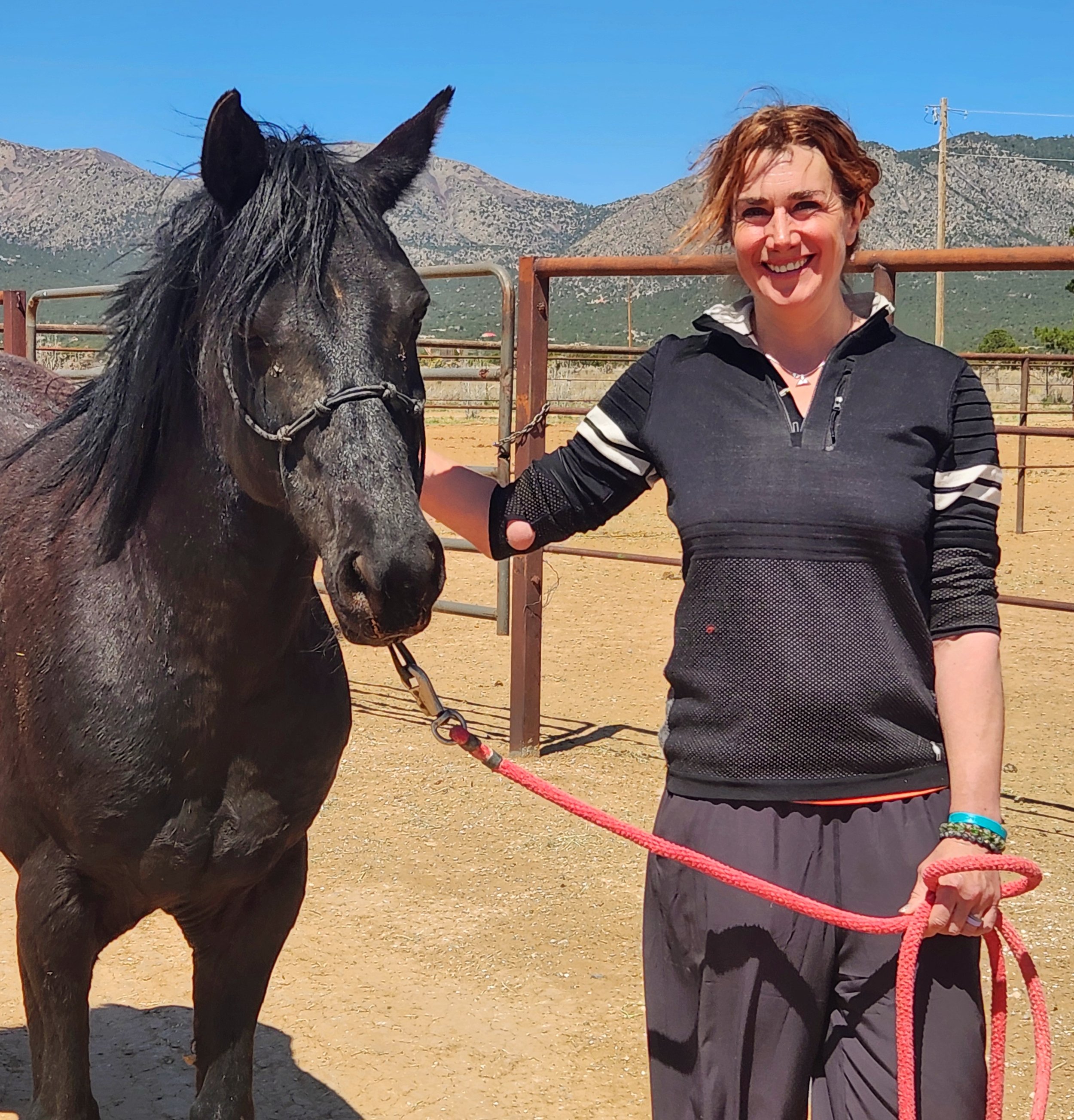 Our Team — New Mexico Horse Rescue