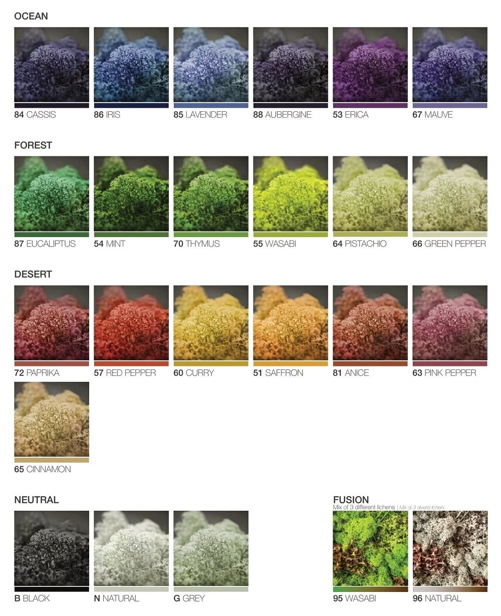 Real Moss Green Wall Art & Acoustic Decor Panels — MOSSwall®