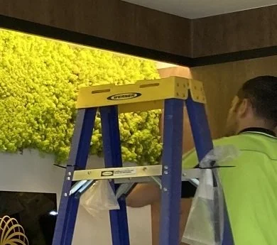 MOSSwall® TECHNICAL SPECIFICATIONS & INSTALLATION INSTRUCTIONS — MOSSwall®