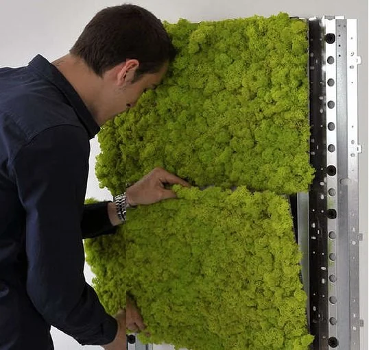 MOSSwall® TECHNICAL SPECIFICATIONS & INSTALLATION INSTRUCTIONS — MOSSwall®