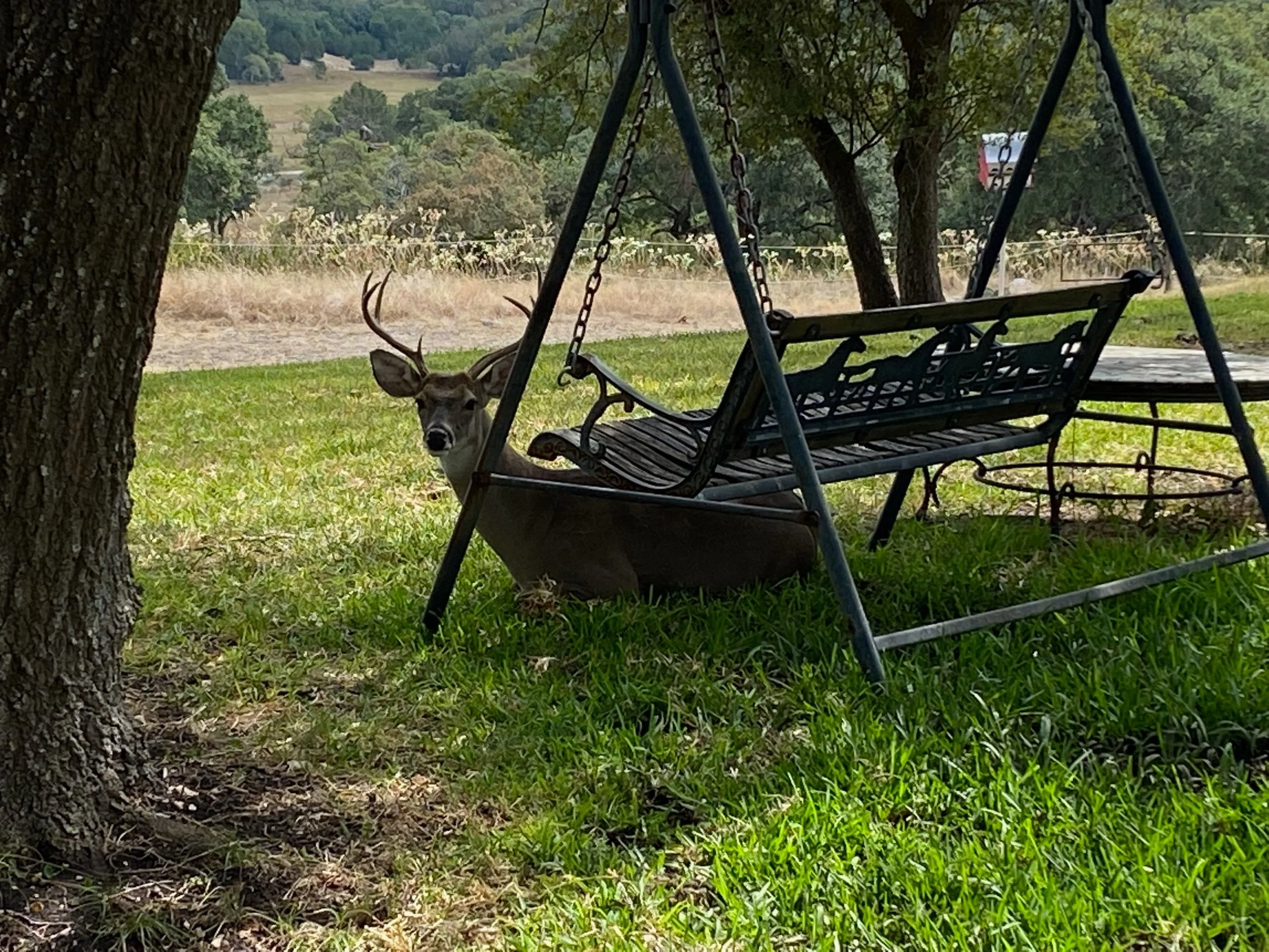 Wolf Creek Guest Ranch