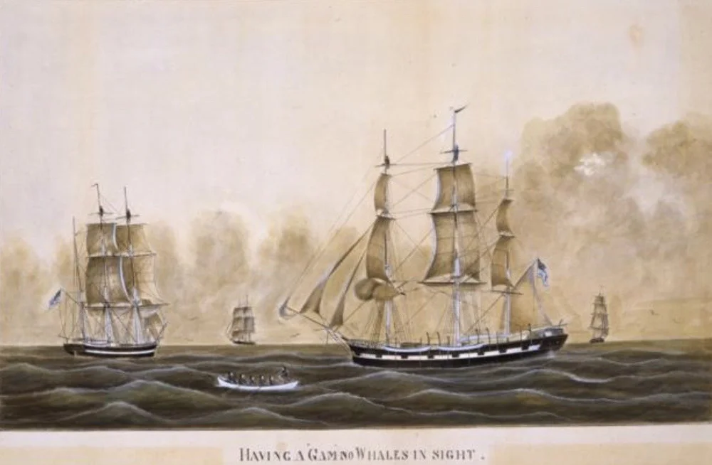 Whaling History Essays — SJ Costello