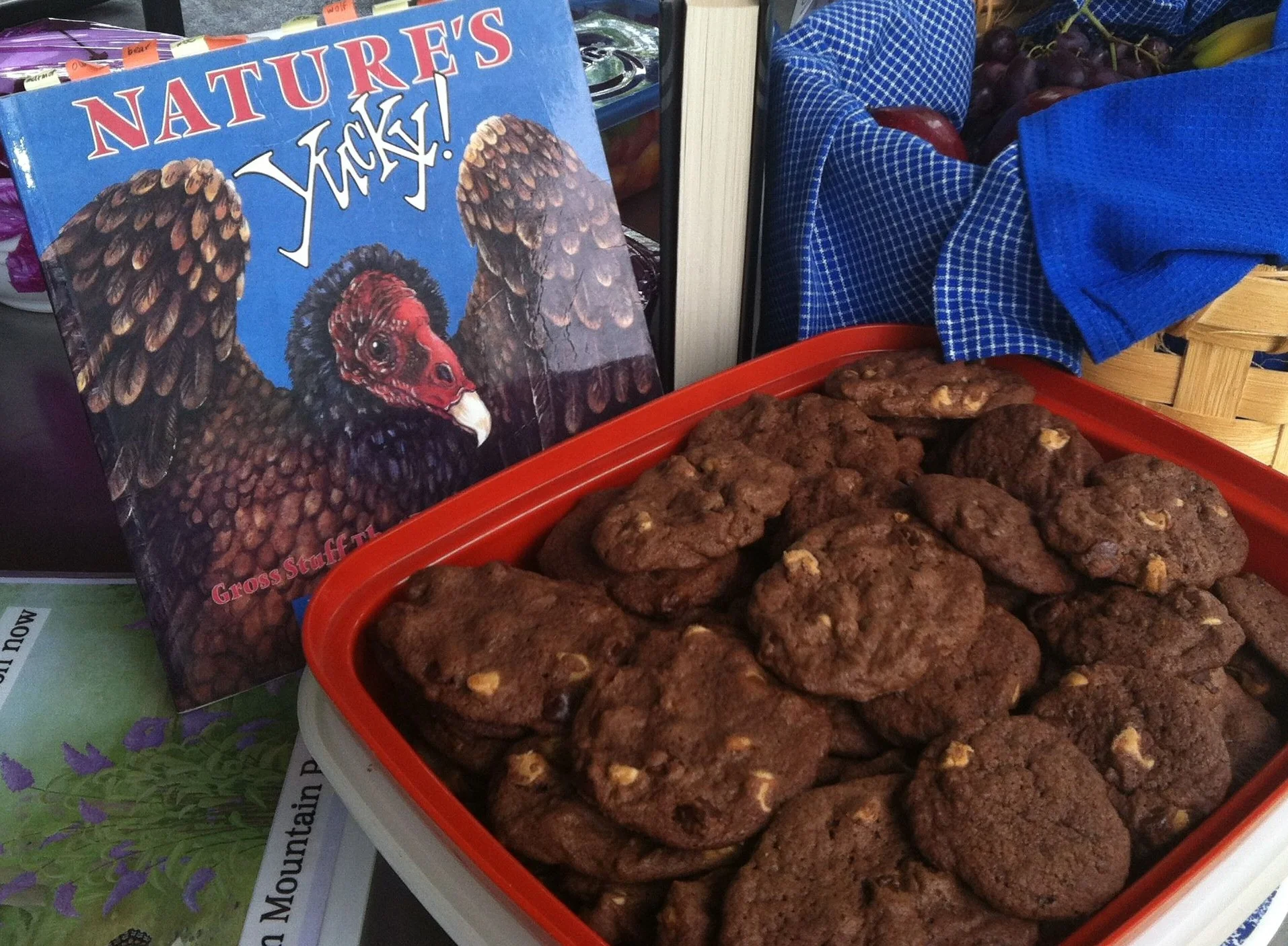 Books — Lee Ann Landstrom, author and educator