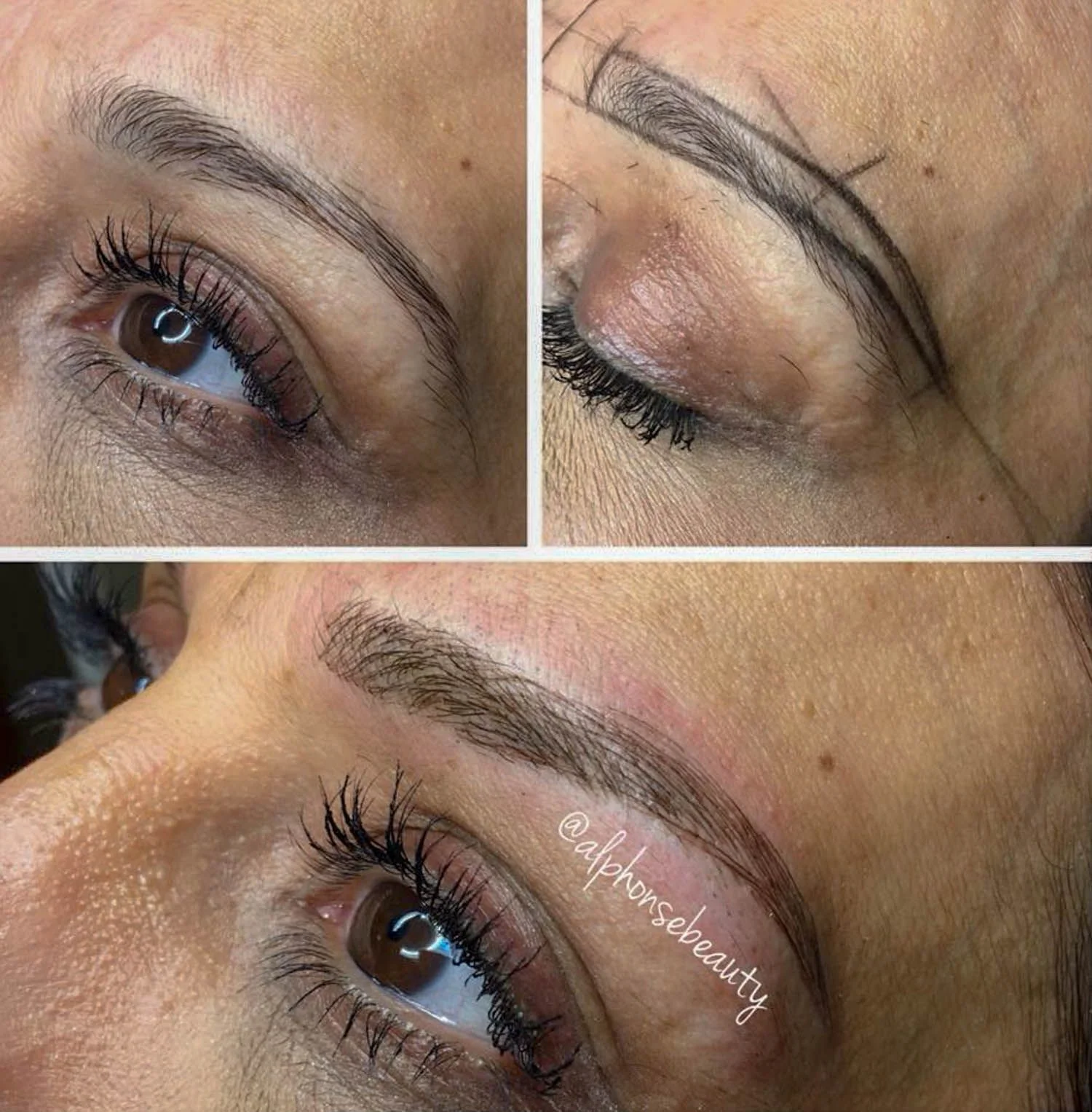 Alphonse Beauty Microblading | Michigan - Gallery