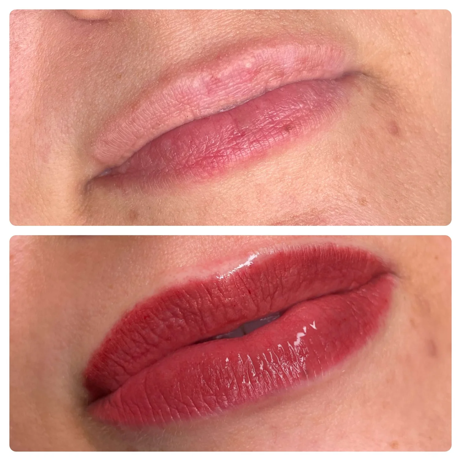 Alphonse Beauty Cosmetic Ink | Michigan - Understanding the Lip Blush ...