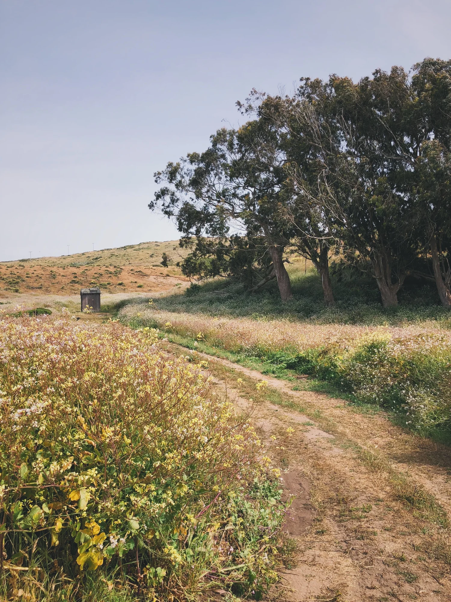 Exploring the Outdoors Together in Point Reyes — minilyfe