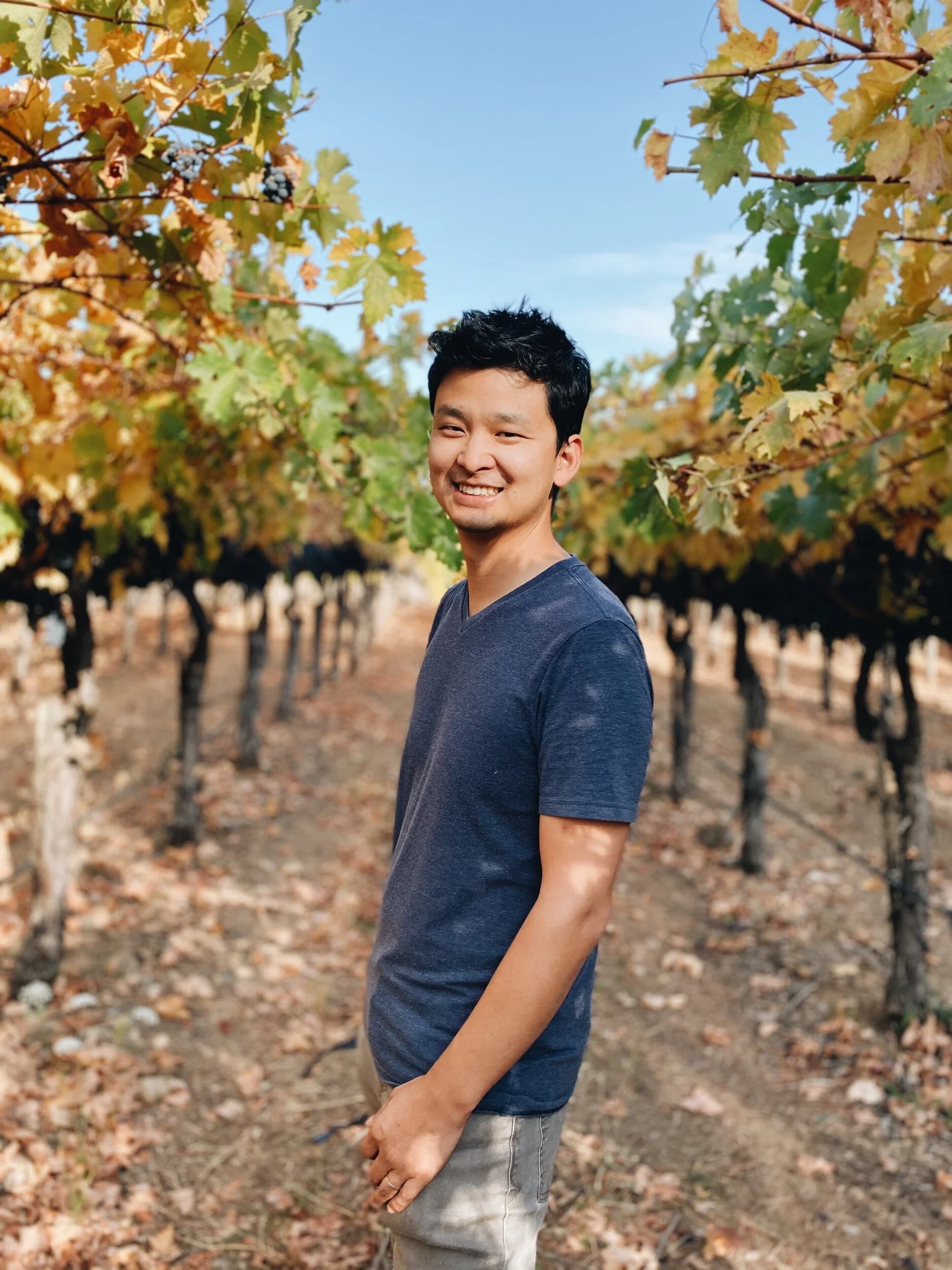 An Afternoon at Castello di Amoroso Winery — minilyfe