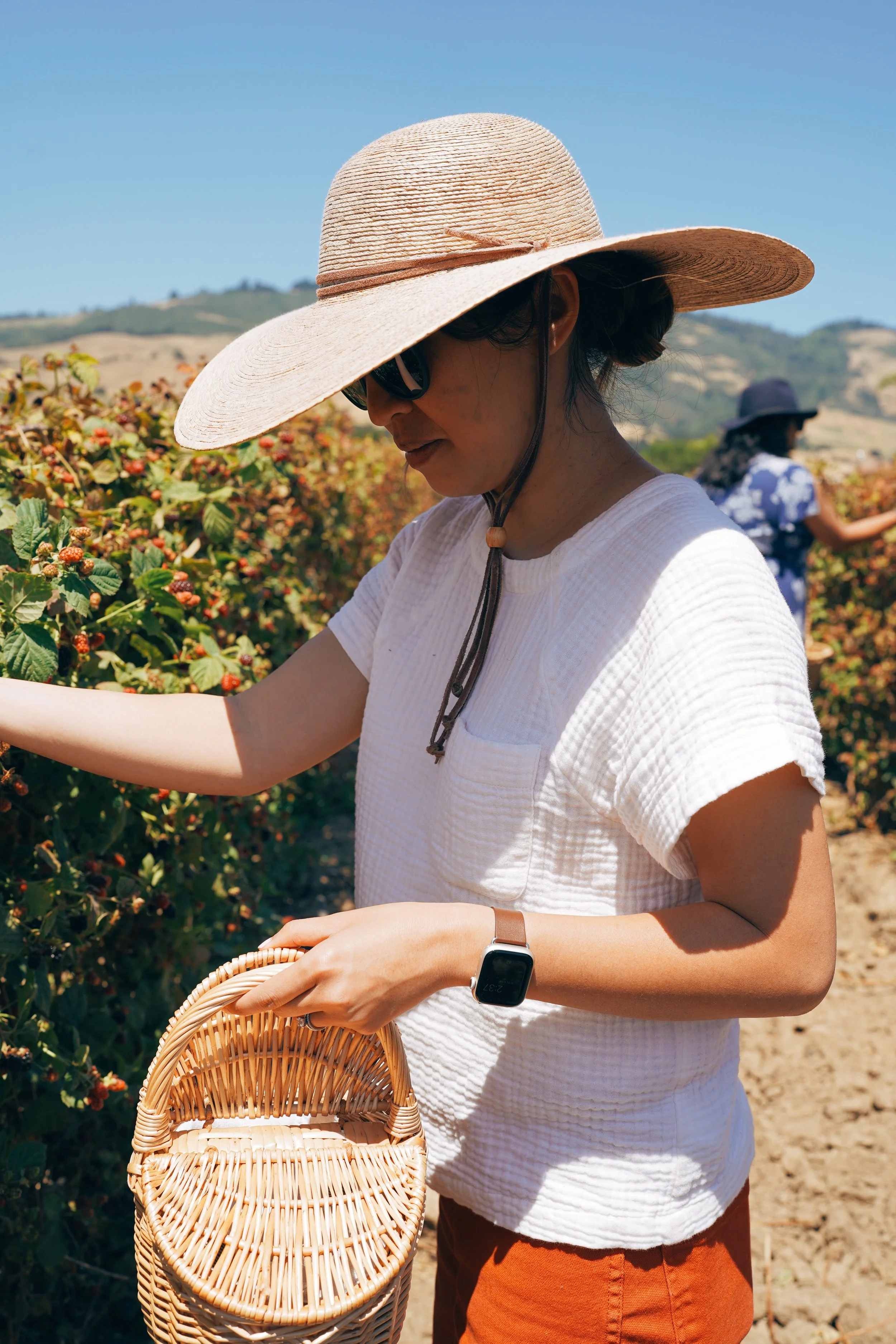 Summer Berry Picking with Friends — minilyfe
