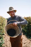Summer Berry Picking with Friends — minilyfe