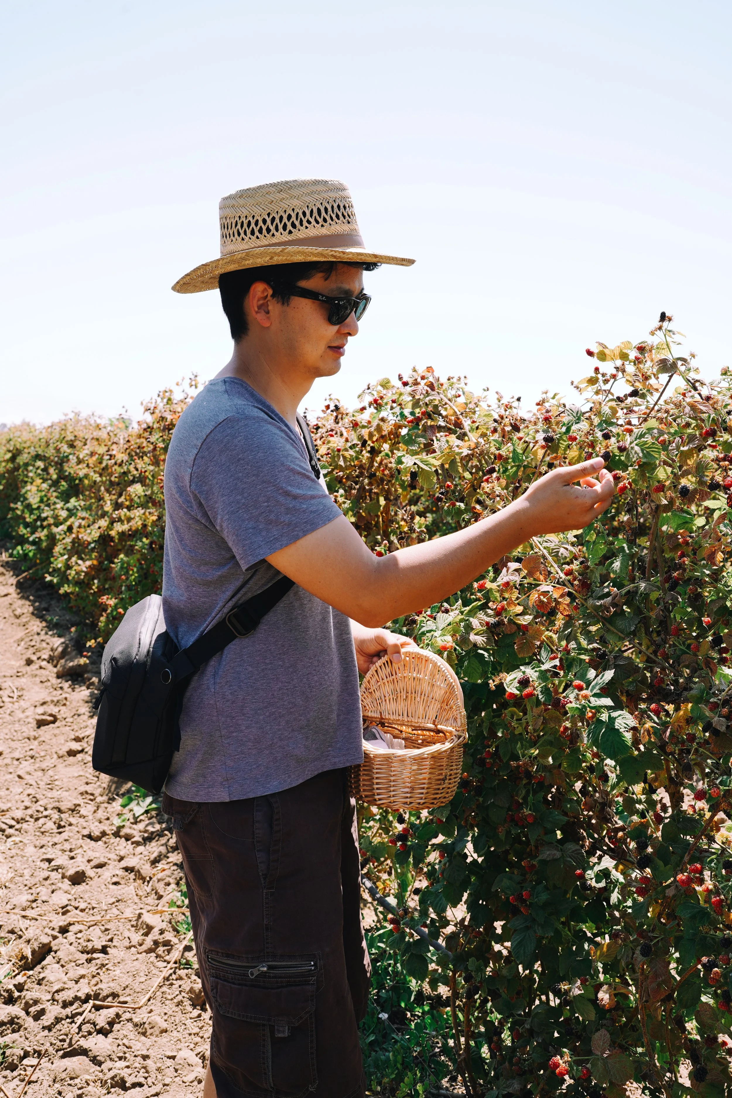 Summer Berry Picking with Friends — minilyfe