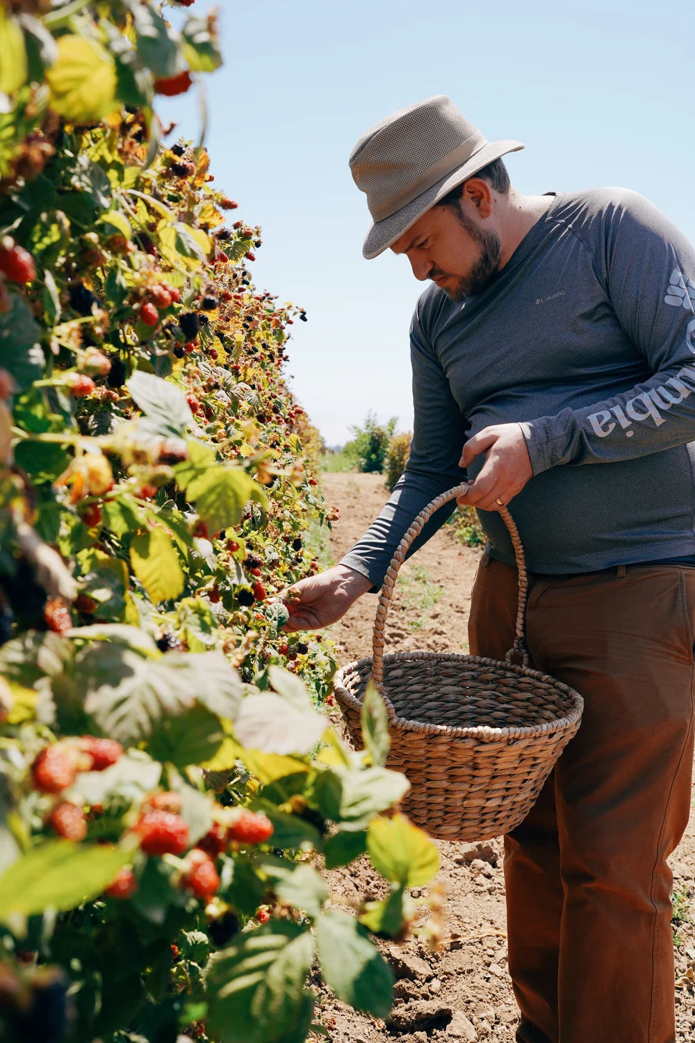 Summer Berry Picking with Friends — minilyfe