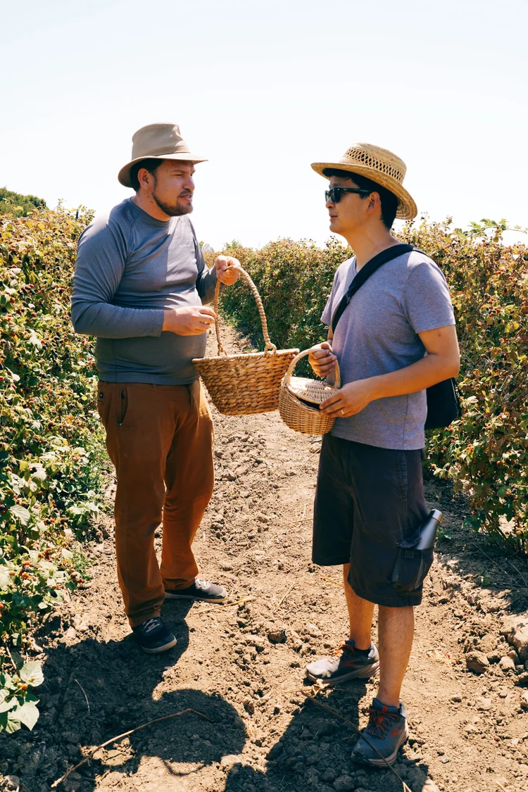 Summer Berry Picking with Friends — minilyfe