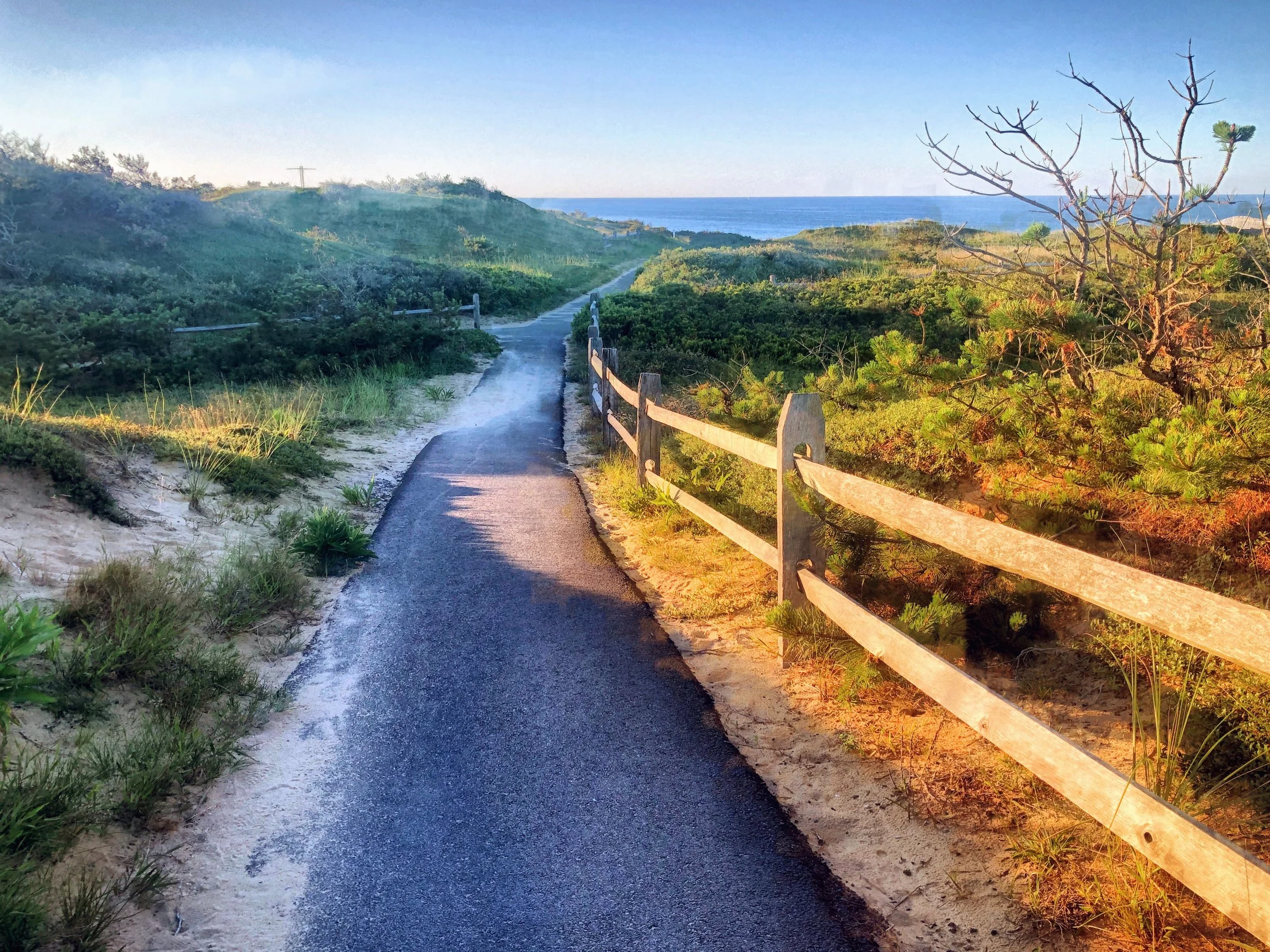 Cape Cod Art — Lisa Jo Rudy Professional iPhone Photography and Digital Art
