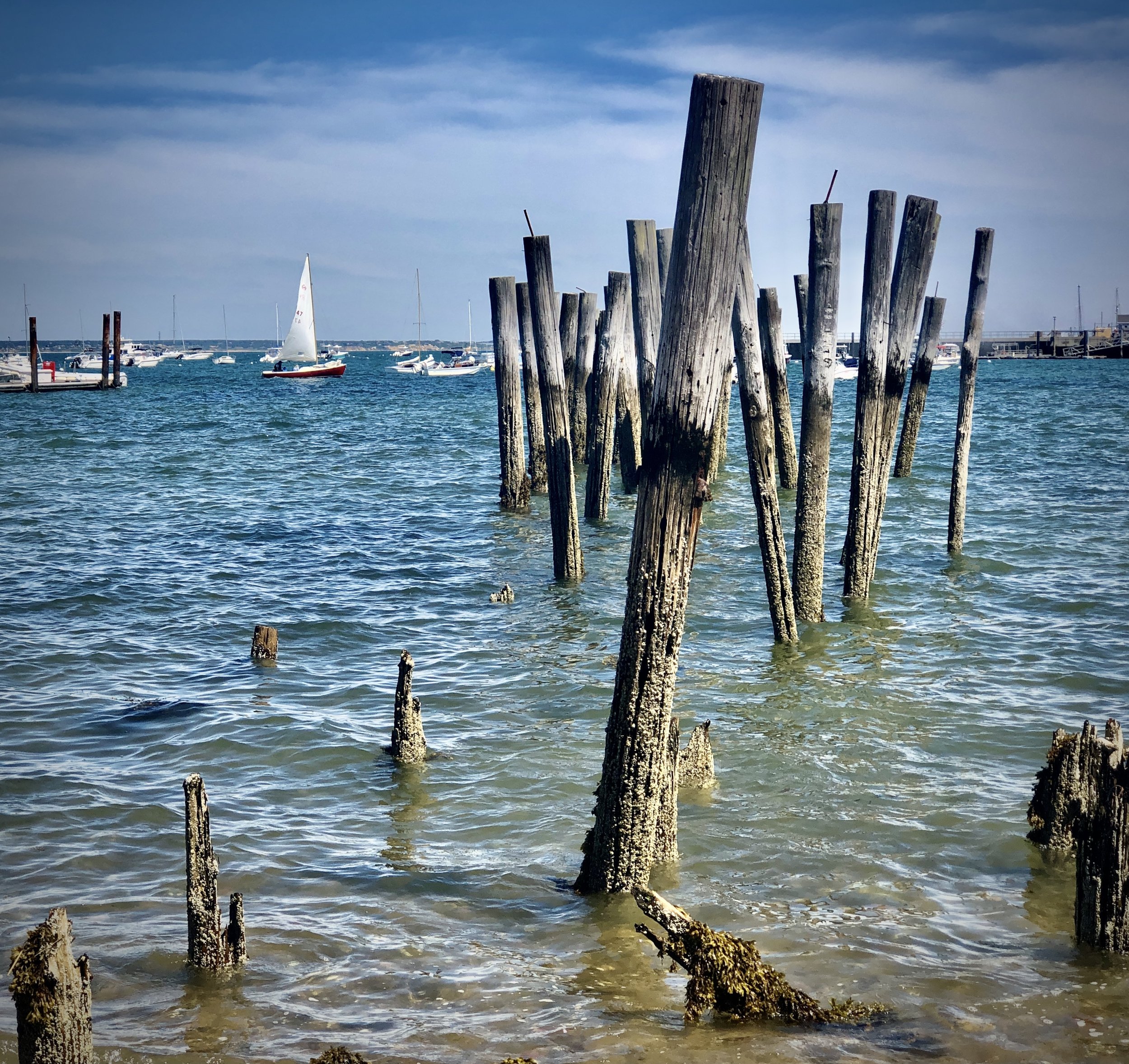 Cape Cod Art — Lisa Jo Rudy Professional iPhone Photography and Digital Art