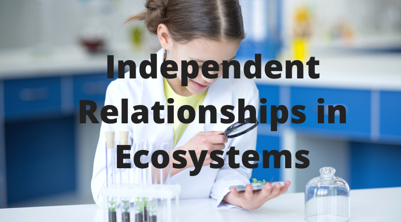 Trine Deboree Teaching & Learning