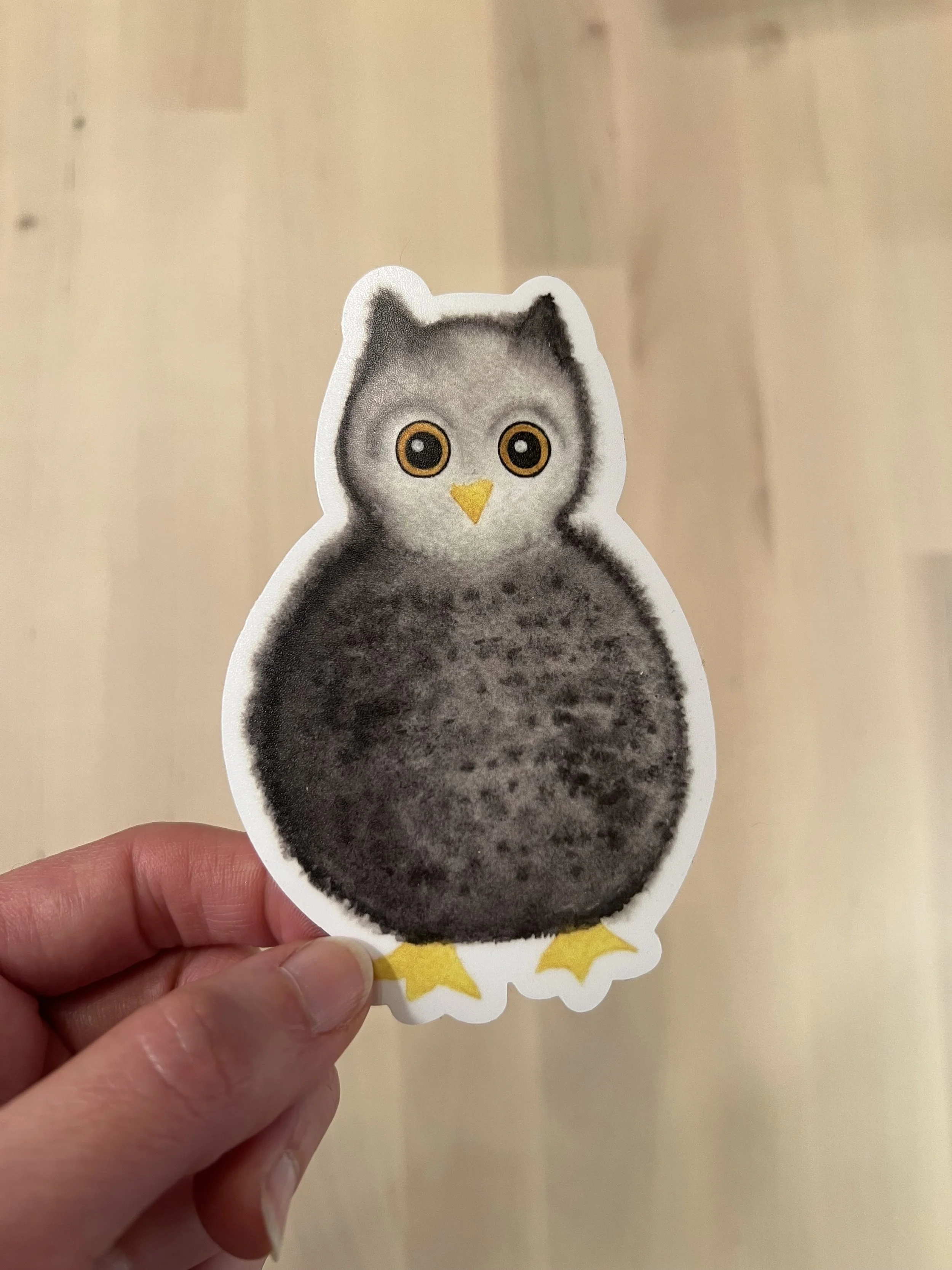 Owl Chick Vinyl Sticker — Carina Alanson