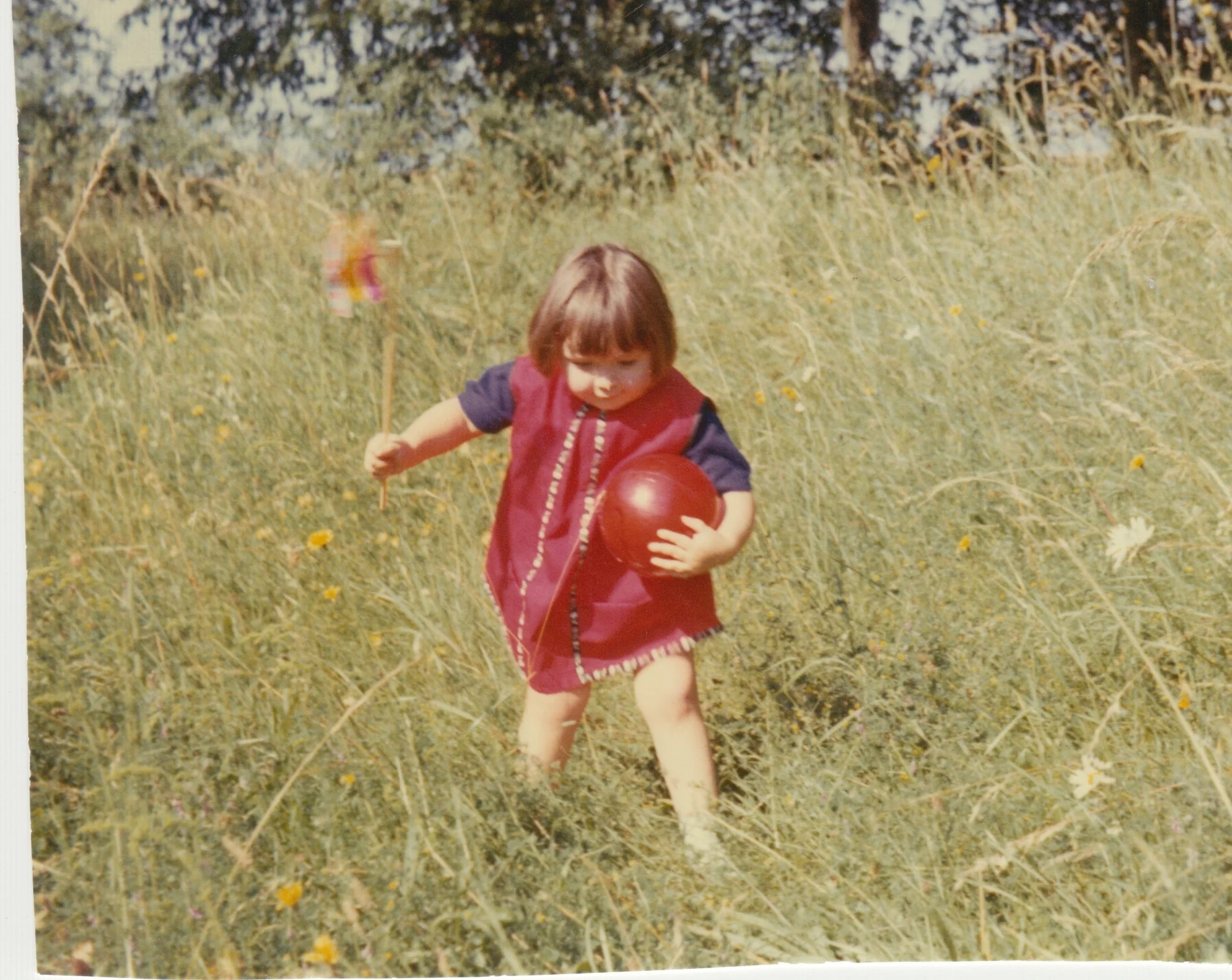 Blog — Anneke Lucas