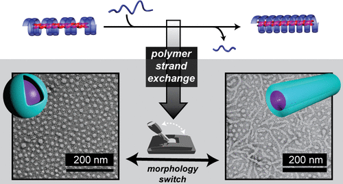 Knight Group - Publications — The Knight Group - UNC