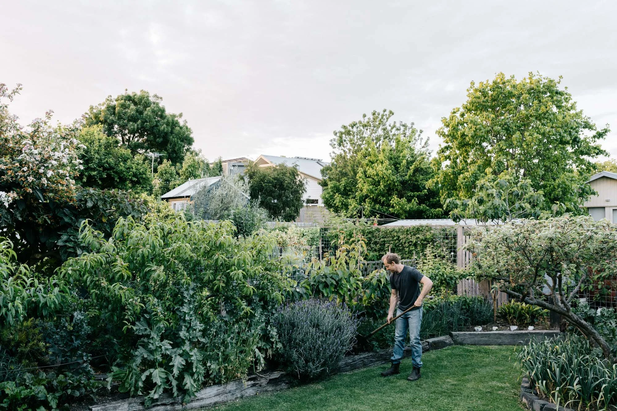 Ben Shaw Permaculture