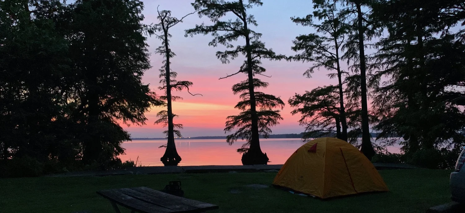 REELFOOT LAKE STATE PARK — WILDERONES